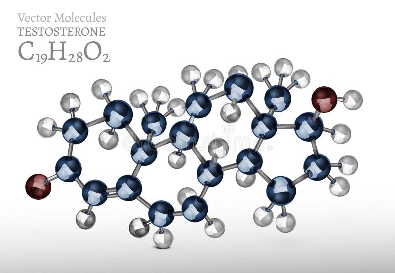 Testosterone Molecule. Ball-and-stick Molecular Model. Chemistry ...