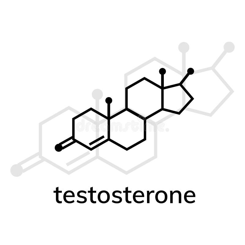 Vector Testosterone And Estrogene Structure Banner Illustration Set ...