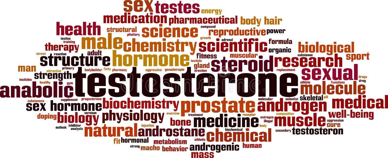 Hormone Word Cloud Stock Vector Illustration Of Development 276649049
