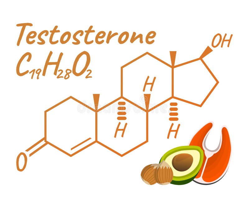 Structure Anatomie De Testostérone Illustration De Vecteur