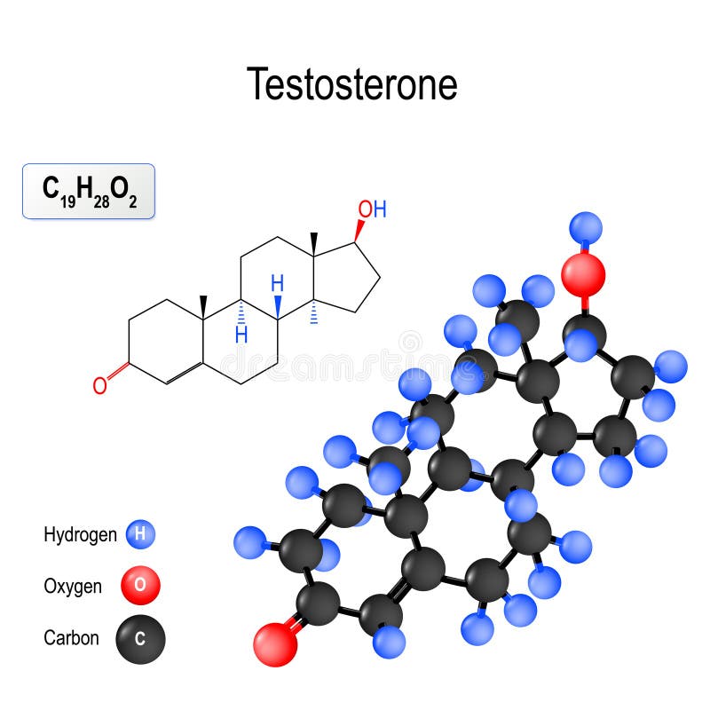 Dessin Structurel De Formule Chimique De Testostérone à Bord De L