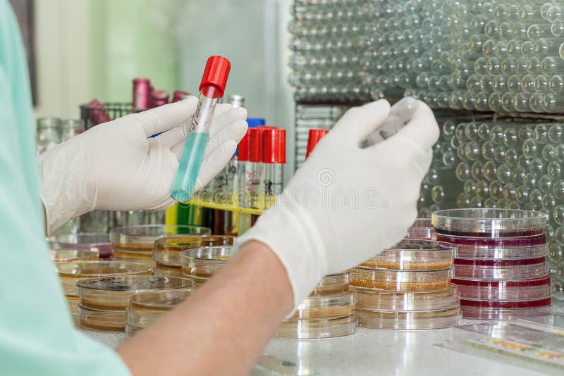 Tests in laboratory stock image. Image of laboratory - 33501899