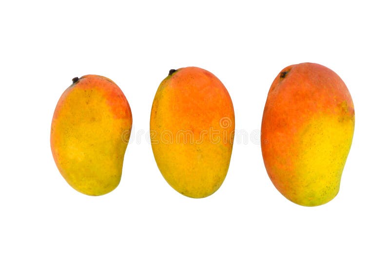 Colorful Mango Fruit stock image. Image of white, colorful - 2707215