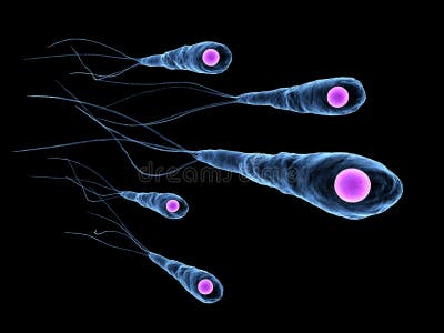 Tetanus Bacteria Stock Illustrations – 416 Tetanus Bacteria Stock ...