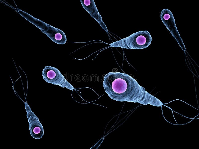 Tetanus Bacteria Structure