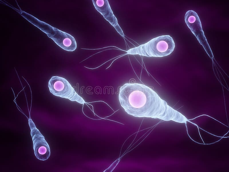 Tetanus bacteria stock illustration. Illustration of medical - 11953943