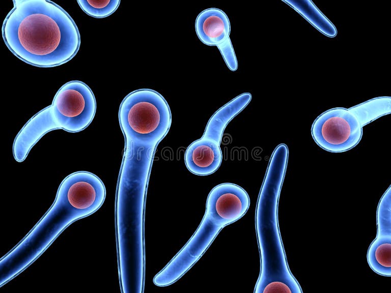 Tetanus Bacteria Stock Illustrations – 416 Tetanus Bacteria Stock ...