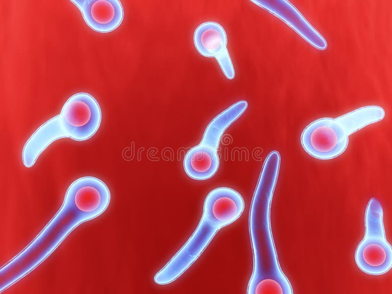 Tetanus Disease Stock Illustrations – 559 Tetanus Disease Stock ...