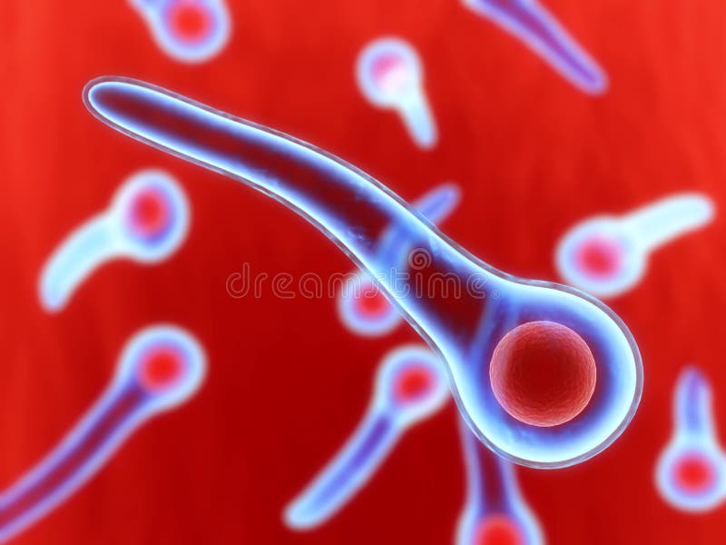 Tetanus bacteria stock illustration. Illustration of illness - 2202452