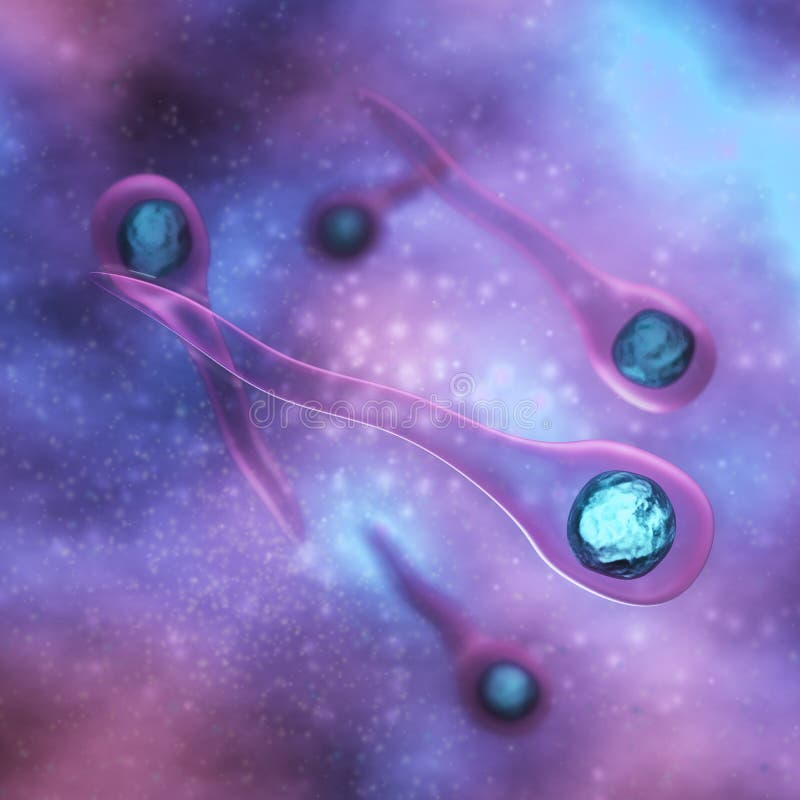 Tetanus Bacteria Diagram