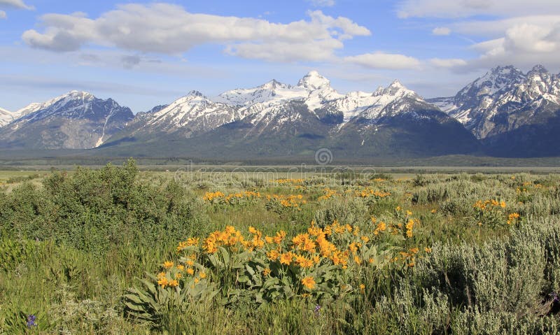 The Tetons Snow Capped Mountains , USA Stock Photo - Image of snow ...