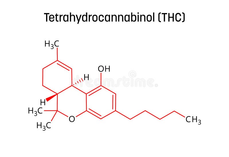 THC. Tetrahydrocannabinol. Psychoactive Constituent of Cannabis ...