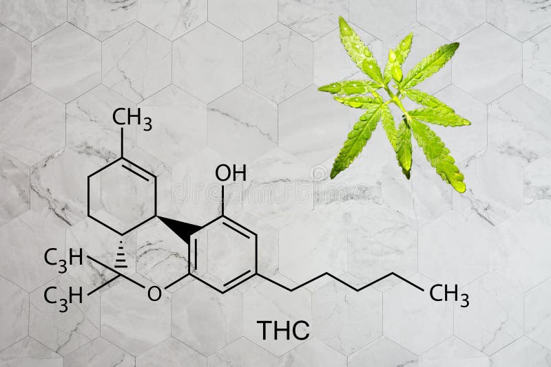 Tetrahydrocannabinol - THC - Structural Formula. Substance from ...