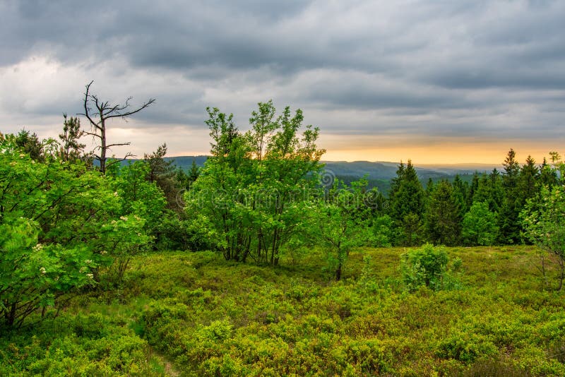 Teutoburg Forest View of Velmerstot Hill, Germany Stock Photo - Image ...