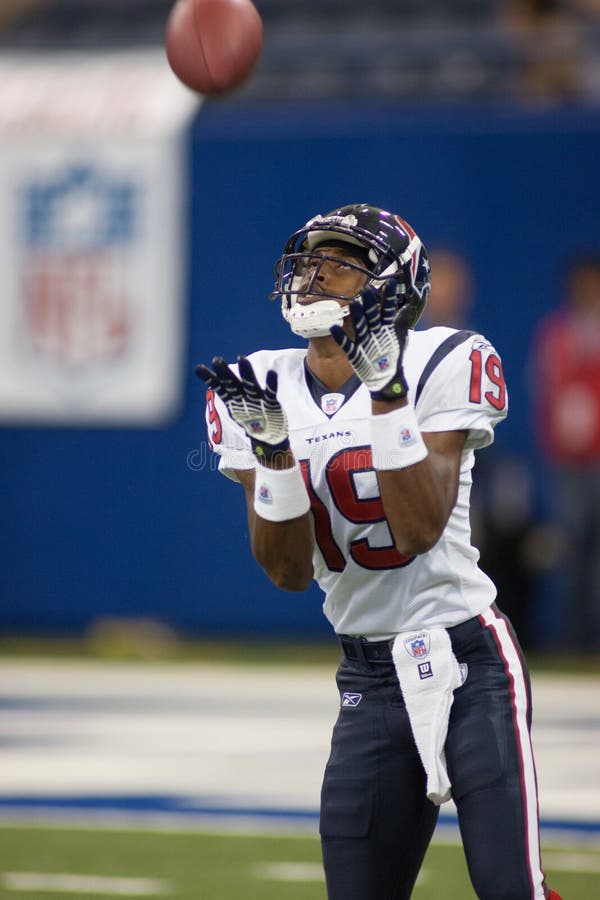 Edell Shepherd Stock Photos - Free & Royalty-Free Stock Photos from ...