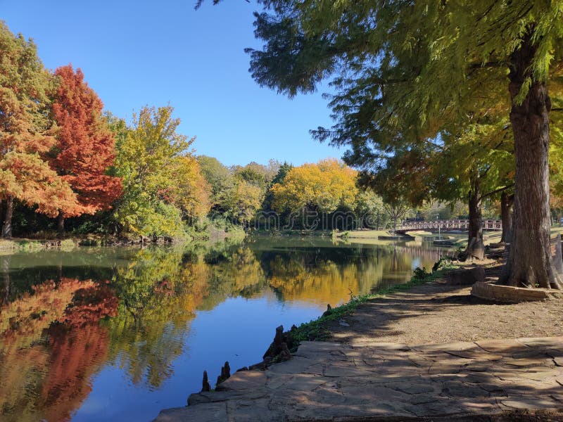 Texas fall trees stock image. Image of trails, fall - 174908267