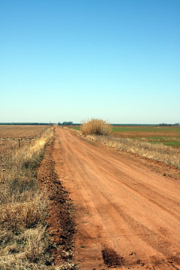 Old Texas Dirt Road In Field Of Texas Bluebonnet Wildflowers Stock ...