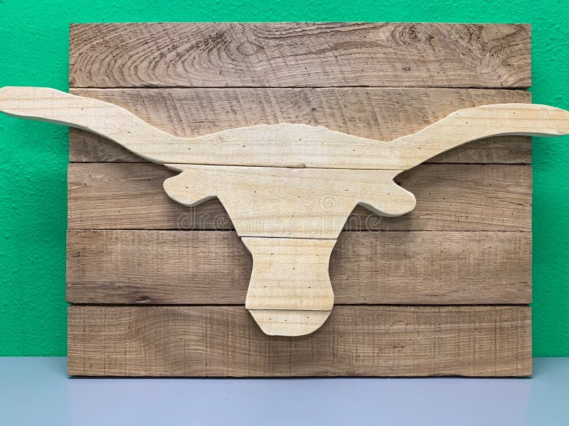 Texas Longhorn stock photo. Image of frame, students - 167178092