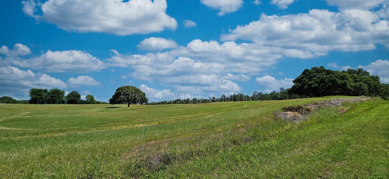 Texas Meadow stock image. Image of field, texas, hill - 316543621