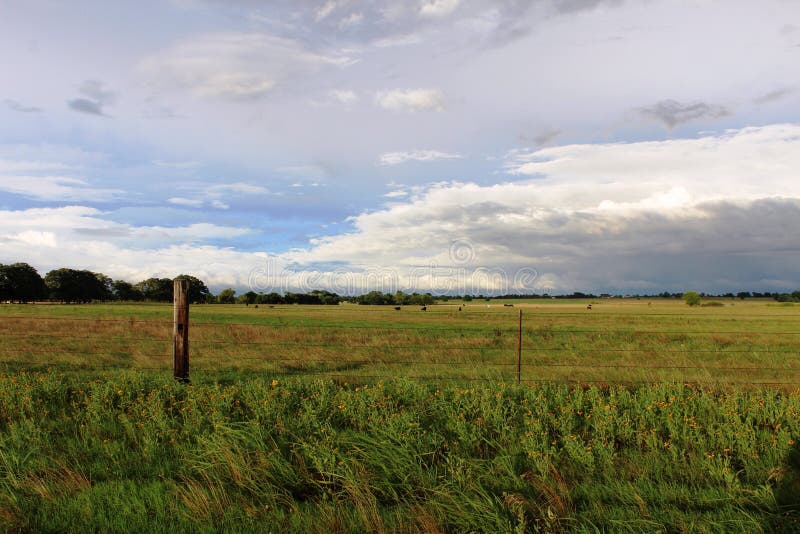 Texas Pasture stock image. Image of meadow, storm, pasture - 55834307