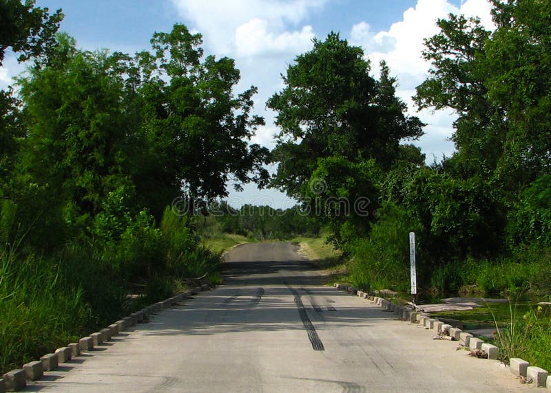 Texas Road through Creek Bed Stock Photo - Image of texas, creek: 42272740