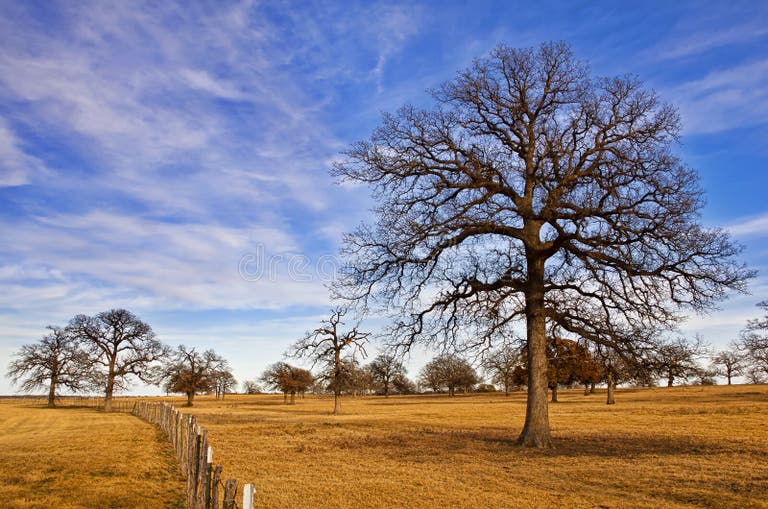 Texas winter sky stock image. Image of winter, pasture - 28273181