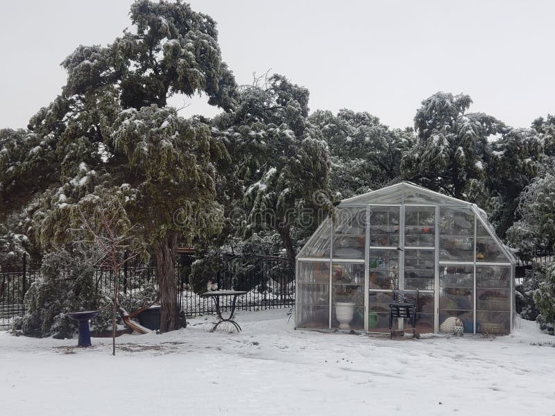 Texas Winter Snow Storm 2021 Stock Image - Image of storm, texas: 238338549