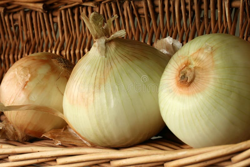 Yellow Onions stock photo. Image of savory, onion, flavoring - 46031480