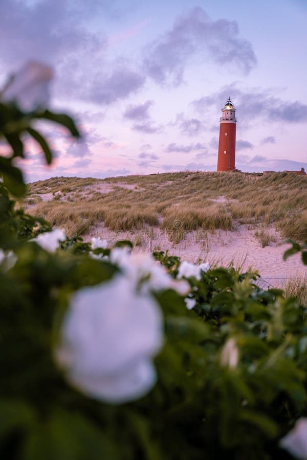 Texel Lighthouse during Sunset Netherlands Dutch Island Texel Stock ...