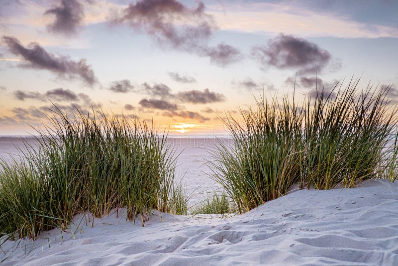 Texel Lighthouse during Sunset Netherlands Dutch Island Texel Stock ...