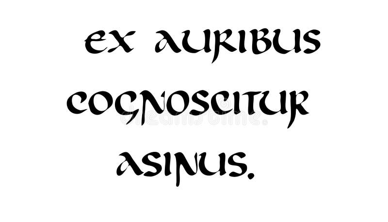 Text with Black Latin Calligraphy in Uncial Text Stock Illustration ...