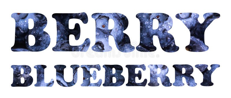 Text Blueberry Made Fresh Ripe Blueberries Texture Isolated White Stock ...