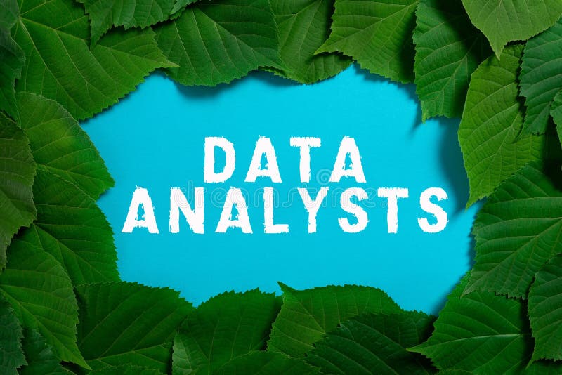 Text Caption Presenting Data Analysts. Word for Programmer Design and ... Text Caption Presenting Data Analysts. Word for Programmer Design and ...
