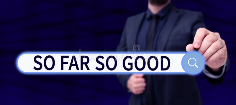 Conceptual Display so Far so Good. Business Overview Progress Has Been ...