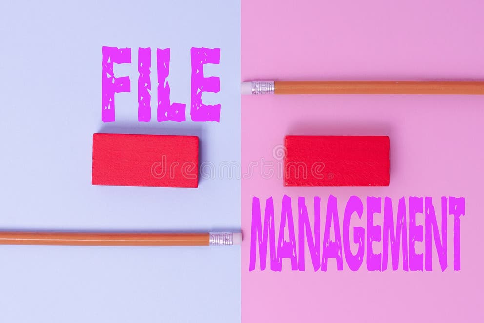 Writing Displaying Text File Management. Business Idea Computer Program that Provides User ...