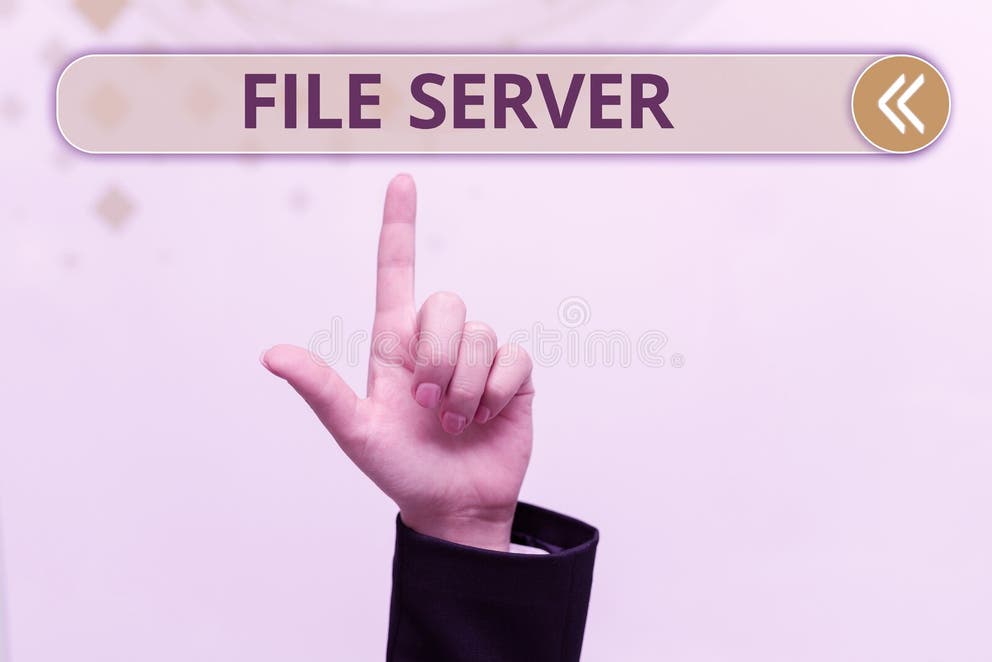 Text Caption Presenting File Server. Business Approach Device Which Controls Access To ...