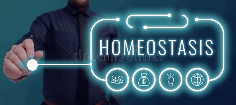 Conceptual Display Homeostasis. Business Showcase the Tendency Toward a ...