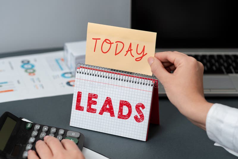 Text Caption Presenting Leads. Business Idea Demographic Information of ...