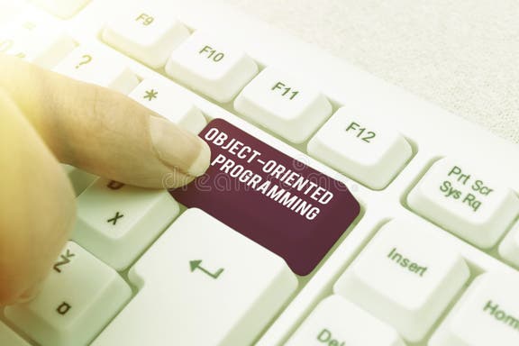 Conceptual Display Object Oriented Programming. Word for Language Model ...