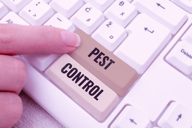 Conceptual Display Pest Control. Business Overview Killing Destructive ...