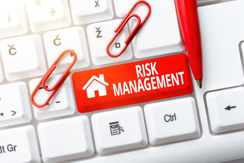 Text Caption Presenting Risk Management. Business Overview Evaluation ...