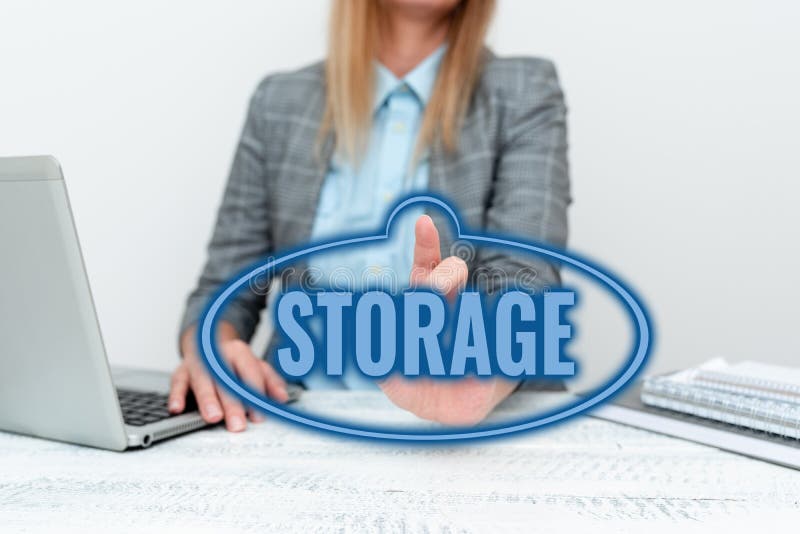 Text Caption Presenting Storage. Business Overview Action of Storage ...