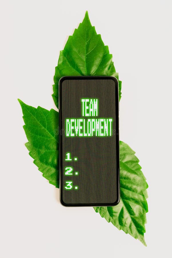 Text Caption Presenting Team Development. Business Idea Learn Why and ...