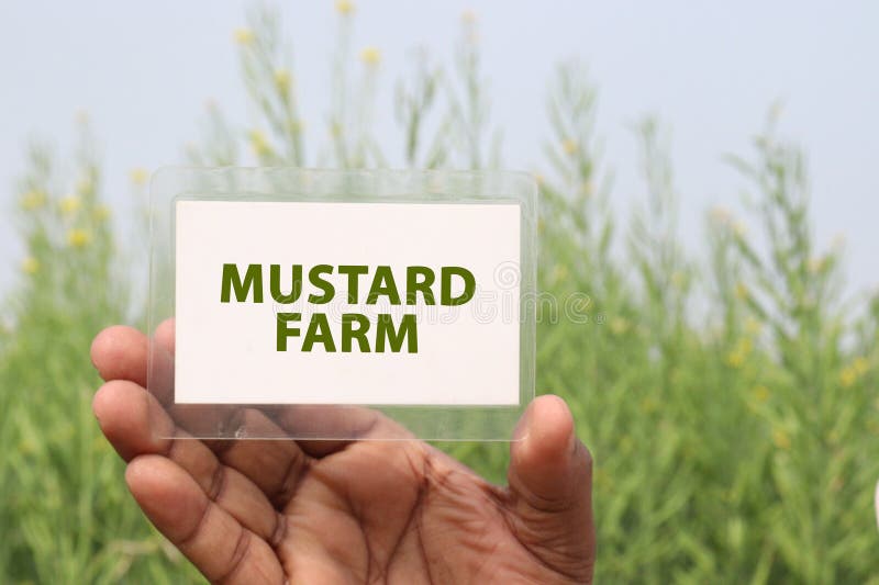 Text card on hand for sign stock image. Image of farming - 272744695