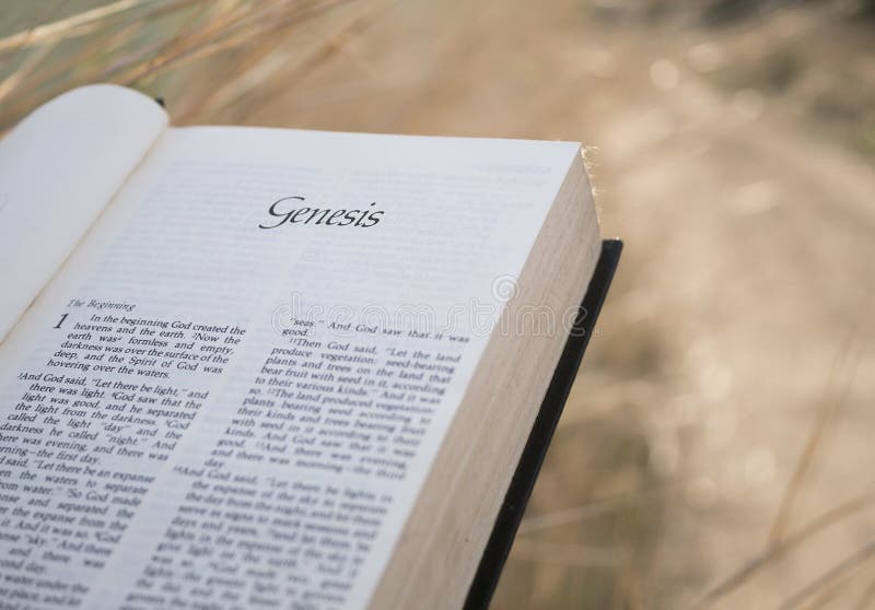Genesis 1 Bible verse stock photo. Image of font, genesis - 7577874