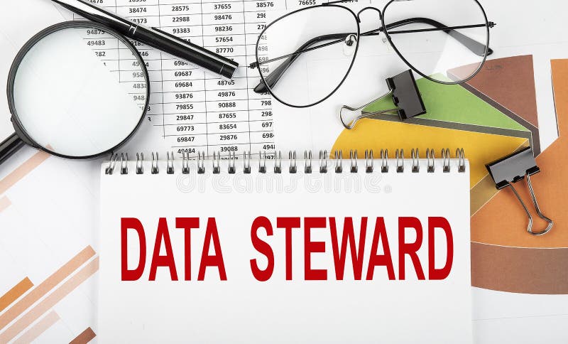 Text DATA STEWARD on White Paper Notebook on the Diagram. Business ...