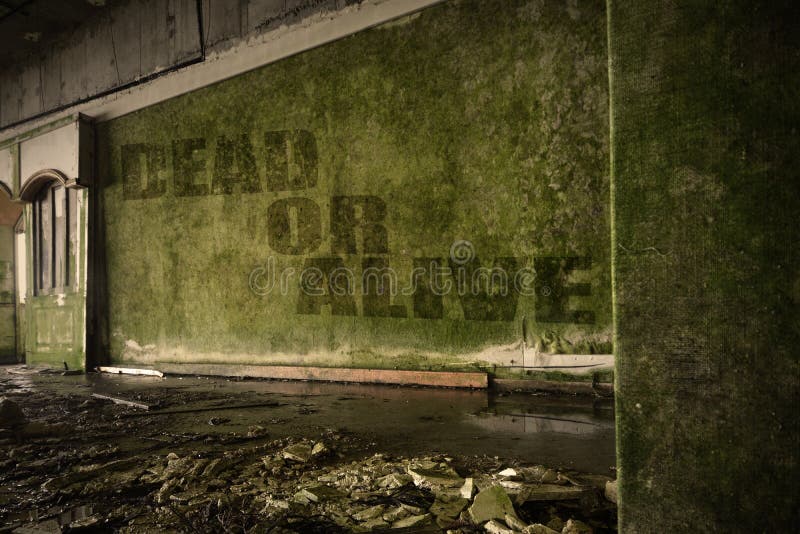 Text Dead or Alive on the Dirty Wall in an Abandoned Ruined House Stock ...