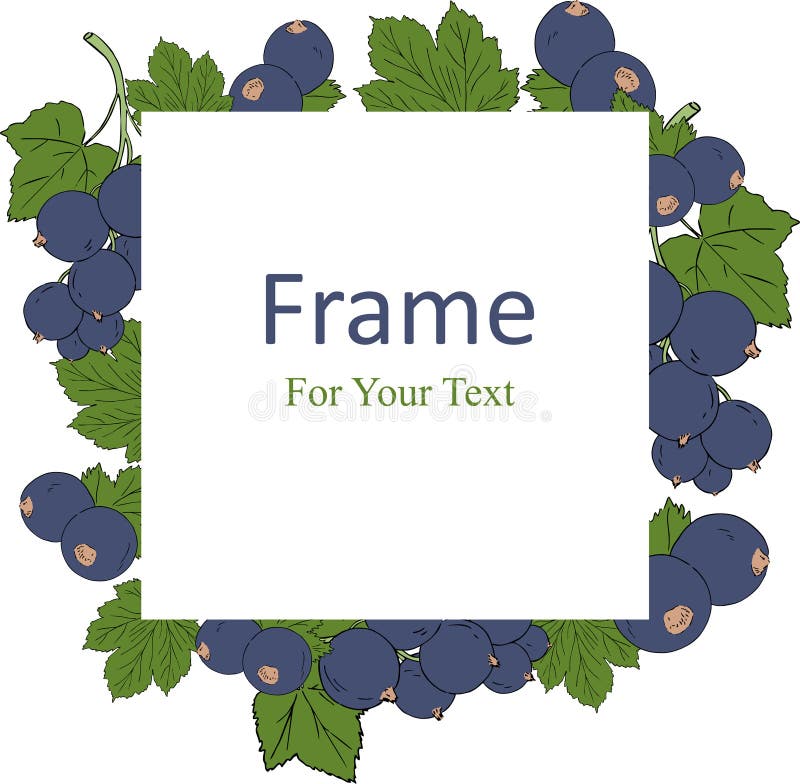 Text Frame Berries and Leaves Black Currant Stock Vector - Illustration ...