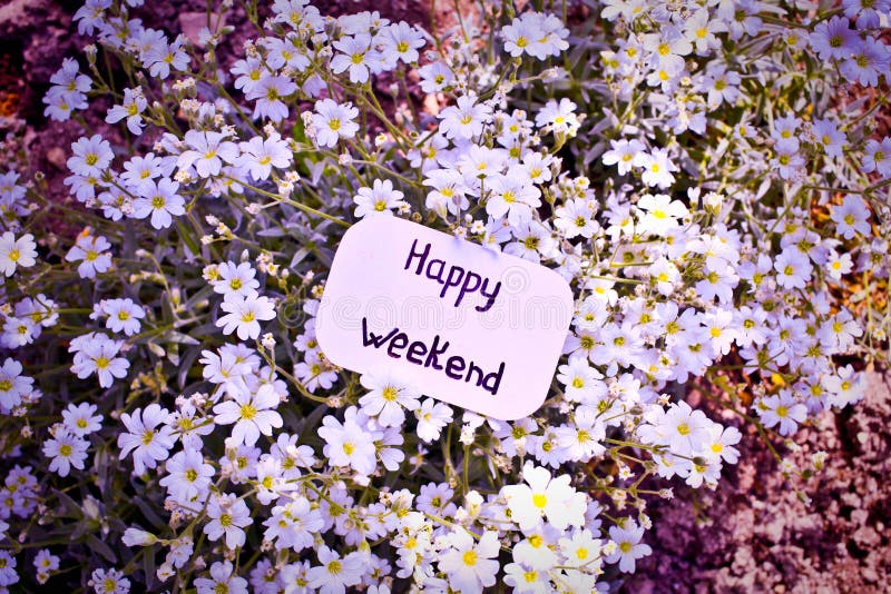 384,276 Happy Weekend Stock Photos - Free & Royalty-Free Stock Photos ...