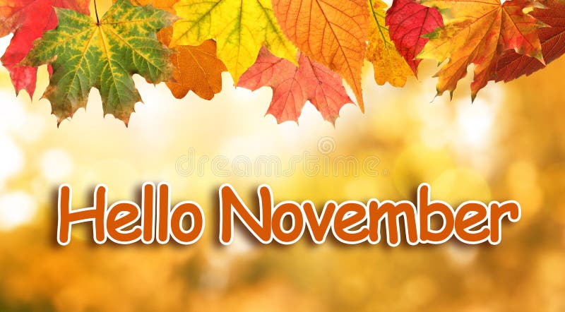 Text Hello November and Autumn Leaves on Background, Bokeh Effect Stock ...